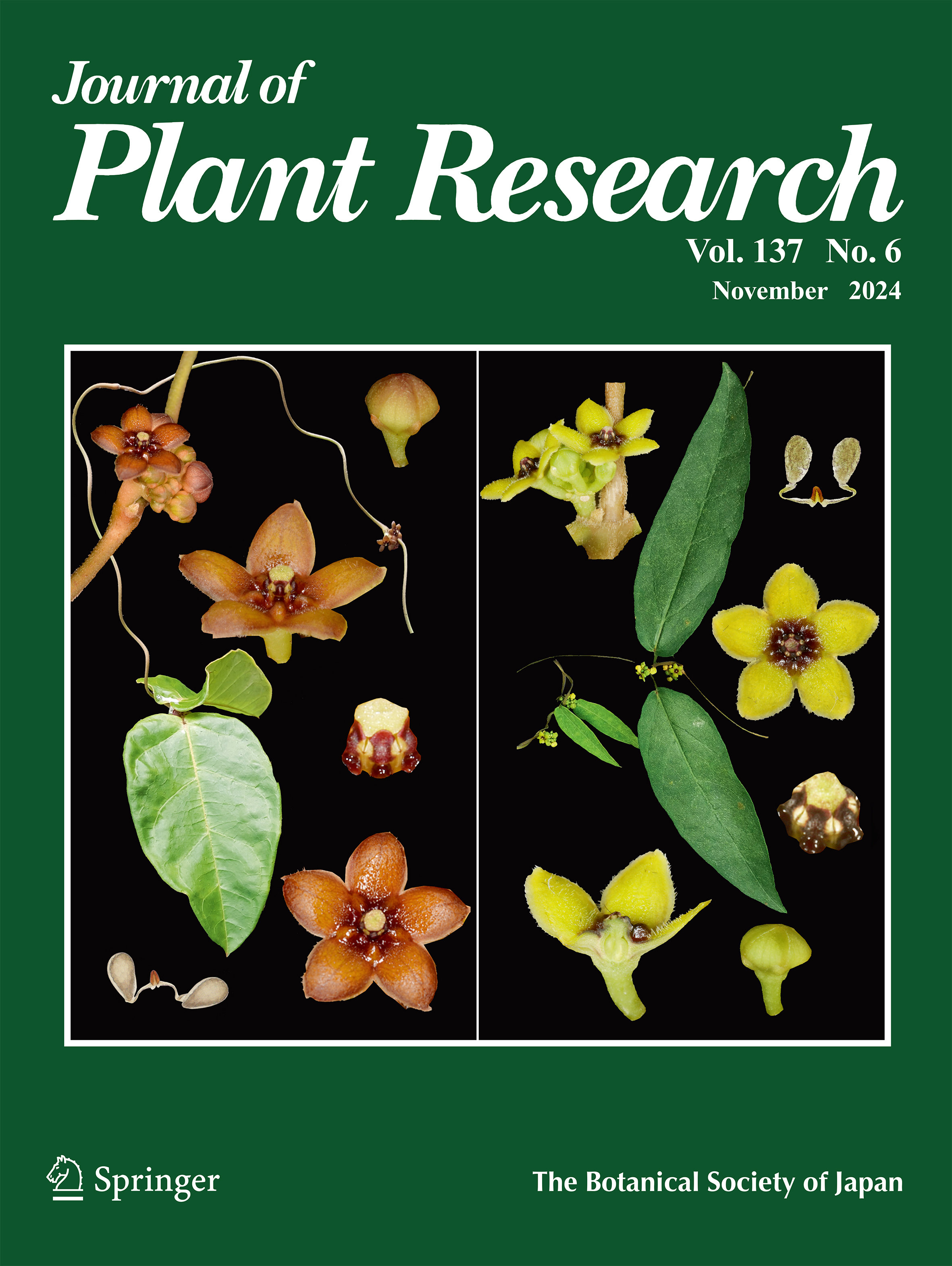 2024年11月号（Vol.137 No.6)